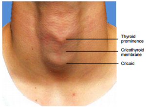 Como fazer cricotireoidostomia – vídeo – Residência Médica